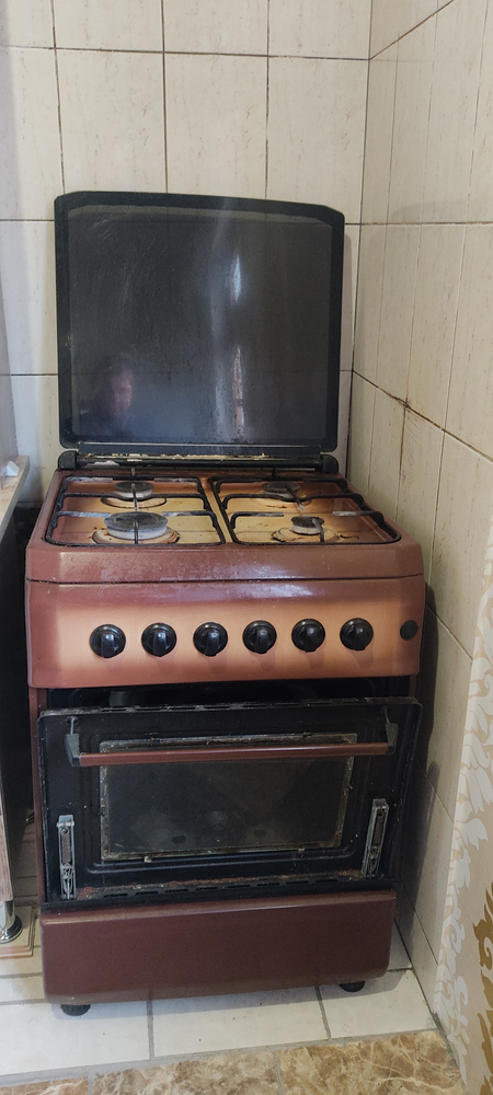 Газовая плита Бирюса