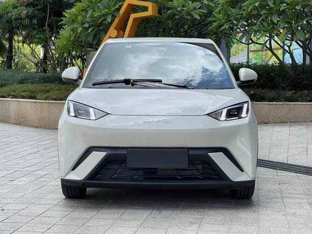 Byd Seagul Halol Nasiyaga