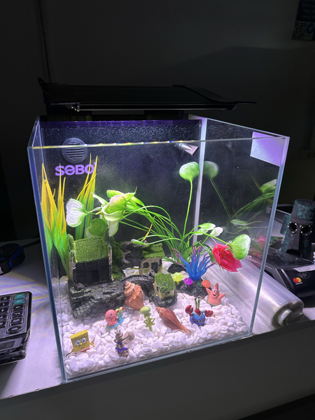 Akvarium va Baliqlar dokoni