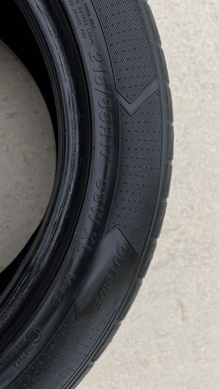 Vossen diska balon
