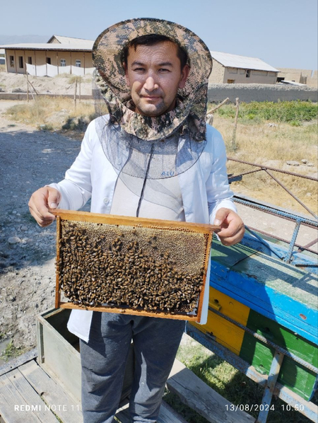 Продается мёд экологически чистые