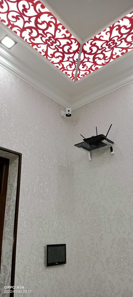 Видеонаблюдение и домофон.