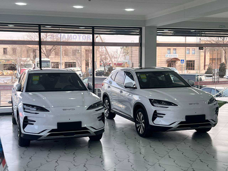 byd chimpion nalichida salondo bo