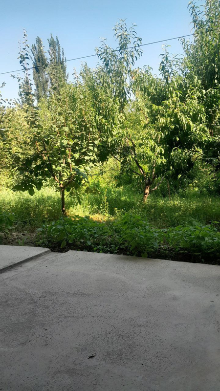 Дача в новбахоре 12соток ,8комнат