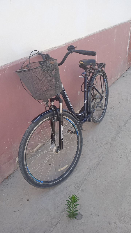 Velosiped. Qoʻra bayir