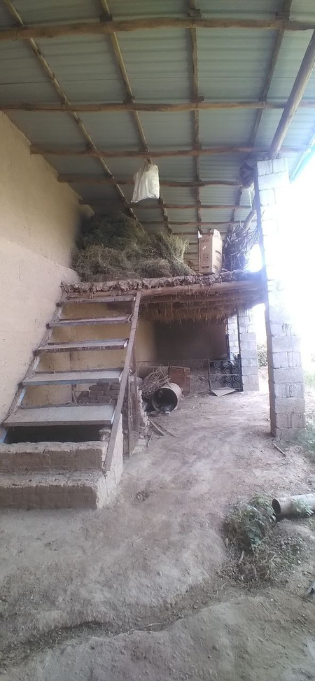 Termiz tumani Sabzipoya mahallasida hovli sotiladi