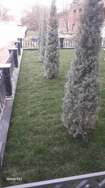 Установка газона