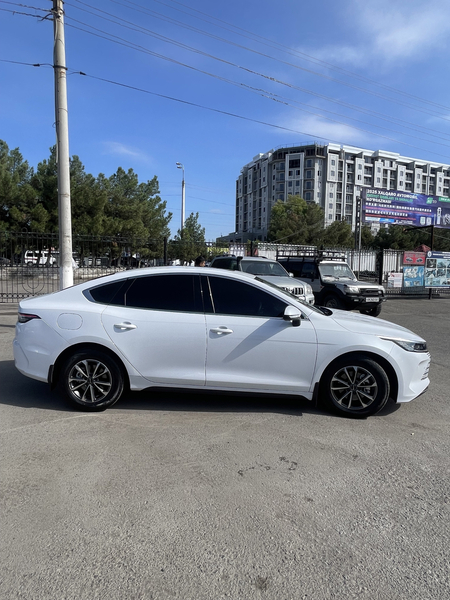 BYd Chazor 2.поз