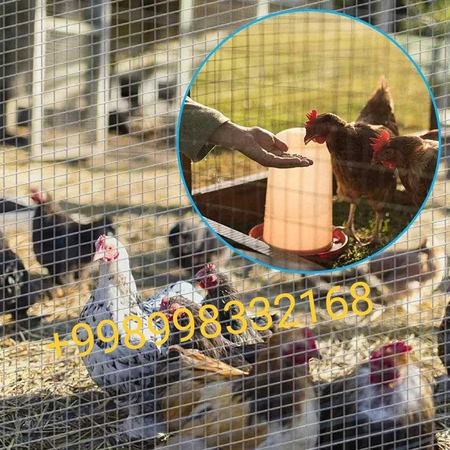 Setka evrozabor, Evrosetka, Euro,Tosiq ,Panjara,Rulon Qafas setkalar