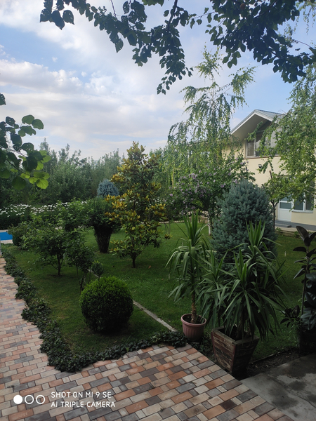 дача аренда посуточно ташкент dacha Toshkent