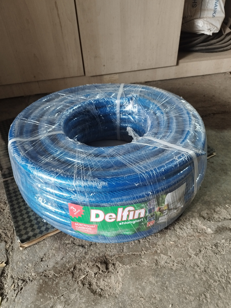 Delfin prof shlanka