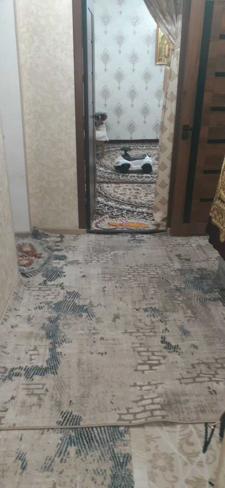 Ijaraga qizlarni quyamiz maklersz1ta 1kurs