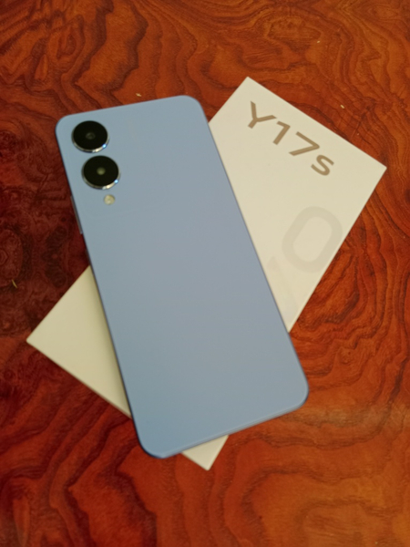 Vivo Y17s mobile telefon