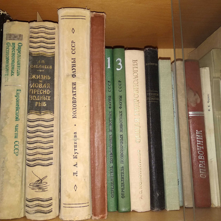 Книги, справочники