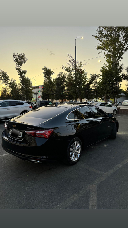 Malibu 2 primer 2022