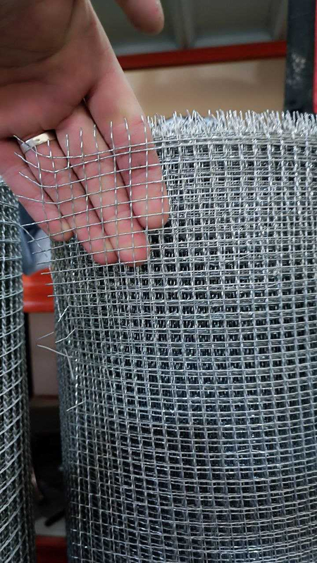 Сварная сетка Оцинкованное сетка Нержавеющая сетка Стальная сетка