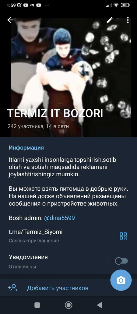 Собаки и щенки в городе Термезе!