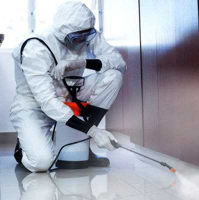 Уничтожение клопов тараканов Дезинфекция dezinfeksiya dizinfeksiya