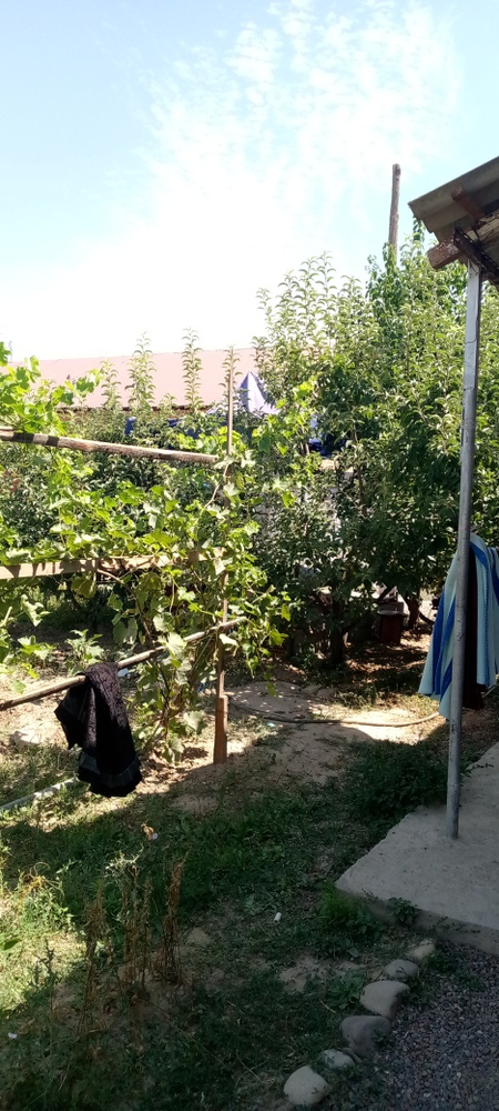 Товоксойда ховли сотилади. Обмен хам бор .
