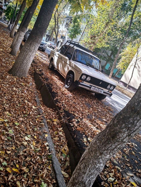 Juguli 06 sotiladi sirochni