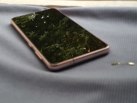 Samsung S21plus 256gb Argnal