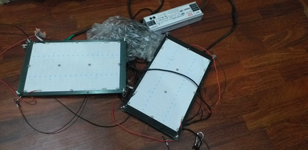 quantum board lm h301