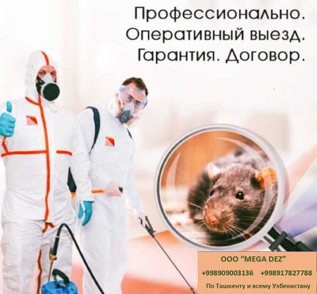 OOO “MEGA DEZ” быстро избавит Вас от всех грызунов и насекомых!!!