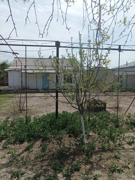Продается коттедж на большом участке