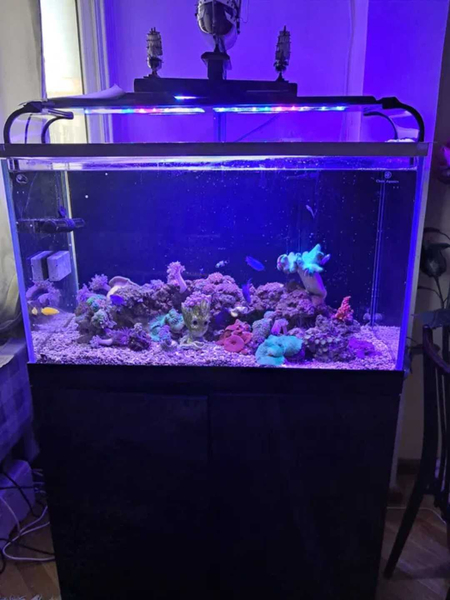 Akvarium sotiladi.
