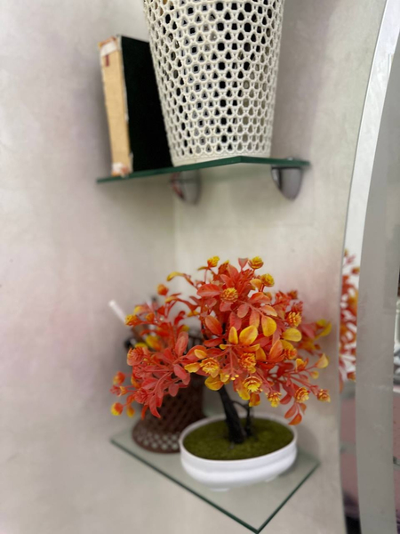 Salon jihozlari sotiladi