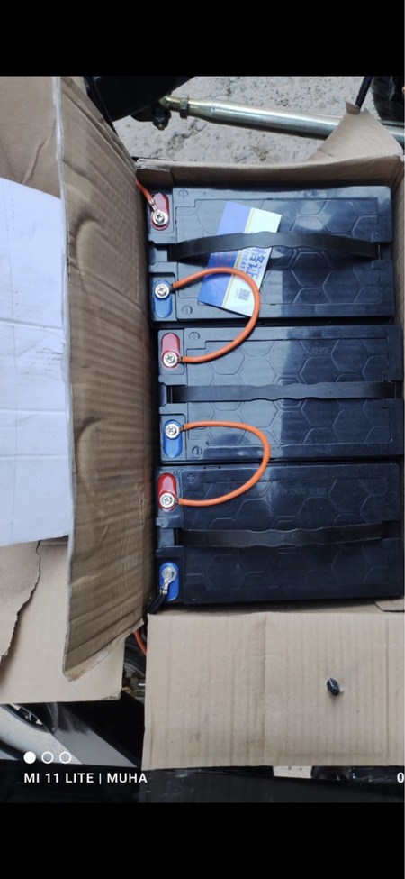 Elektro muravey.