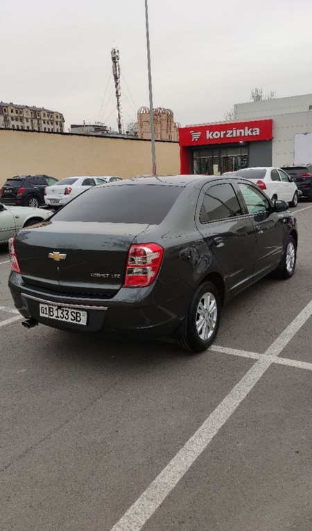 Cobalt GX style AT 2023