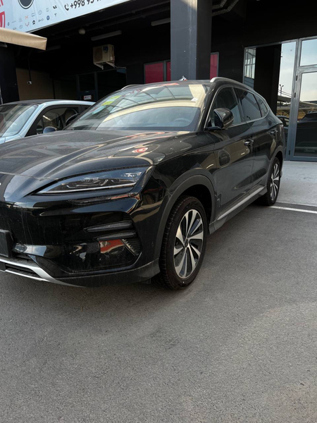 byd chempion 605 qora