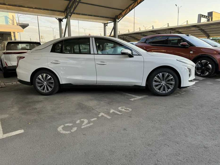 Hongqi EQM-5 Arenda s Vikup