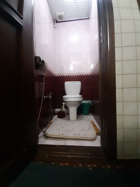 Ганга 