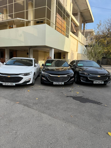 Rent Car/avto prokat/ijaraga mashina
