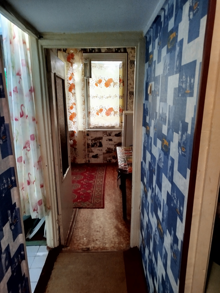 Аренда. 1/2/4 Каракамыш 1/3 Корзинка