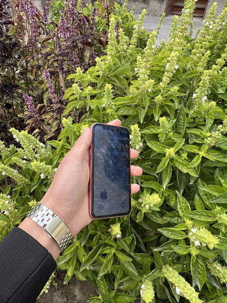 Iphone xr 128 tali srochna