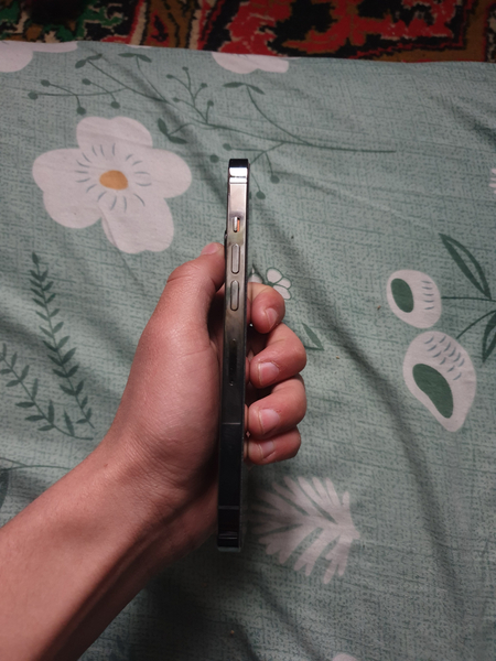 Apple iPhone 13 pro graphite