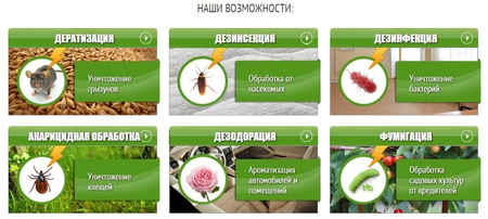 Дезинфекция dezenfeksiya dezinfeksiya дезинсекция клоп таракан