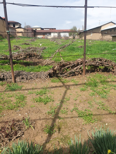 Toshkent viloyati Parkent shaxrida