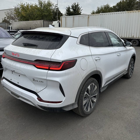 BYD Chempion (2025 Restling)