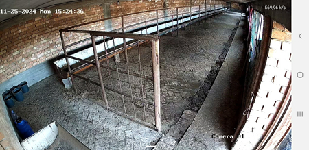 Молхона ижарага берилади
