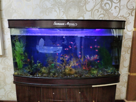 akvarium tozalash chistka ustanovka