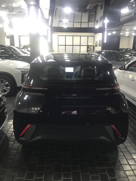 Byd seagull full