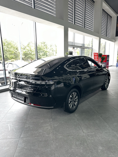 BYD Chazor Champion 55km Active