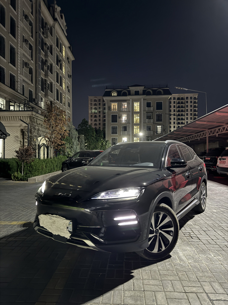 Byd chempion 605 full pazitsa
