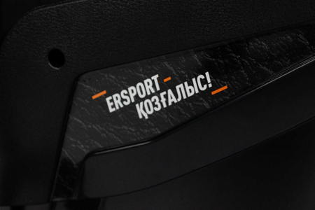 Иппотренажер ERSPORT - Райдер