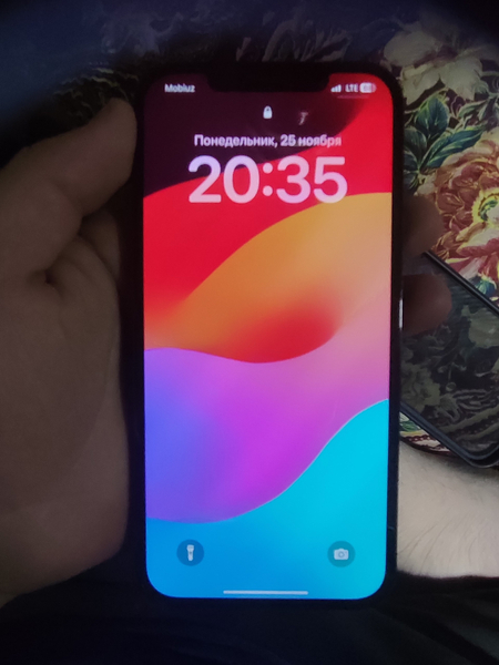 Iphone 12 pro max ideal