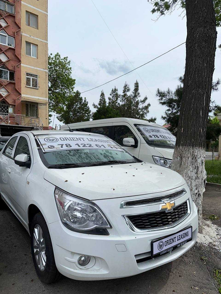 Cobaltlar sotuvda lizinga
